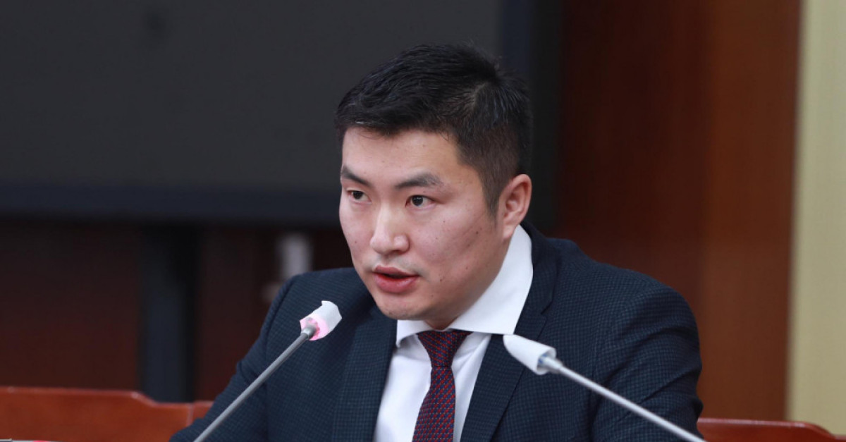 Хөгжлийн банкны гүйцэтгэх захирал Н Мандуул үүрэгт ажлаасаа чөлөөлөгдөх